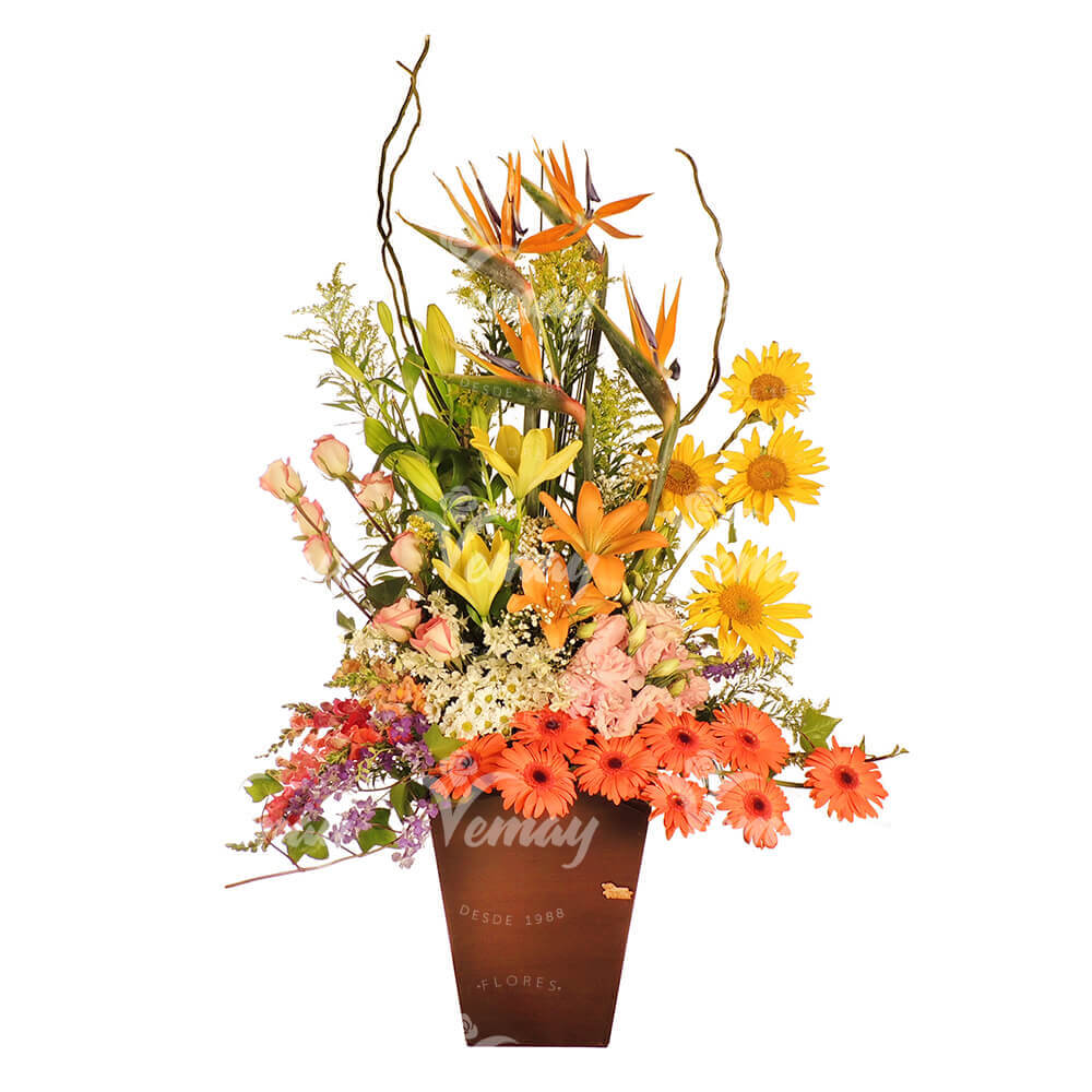 CL 35 Vemayflores CL 35 Vemayflores